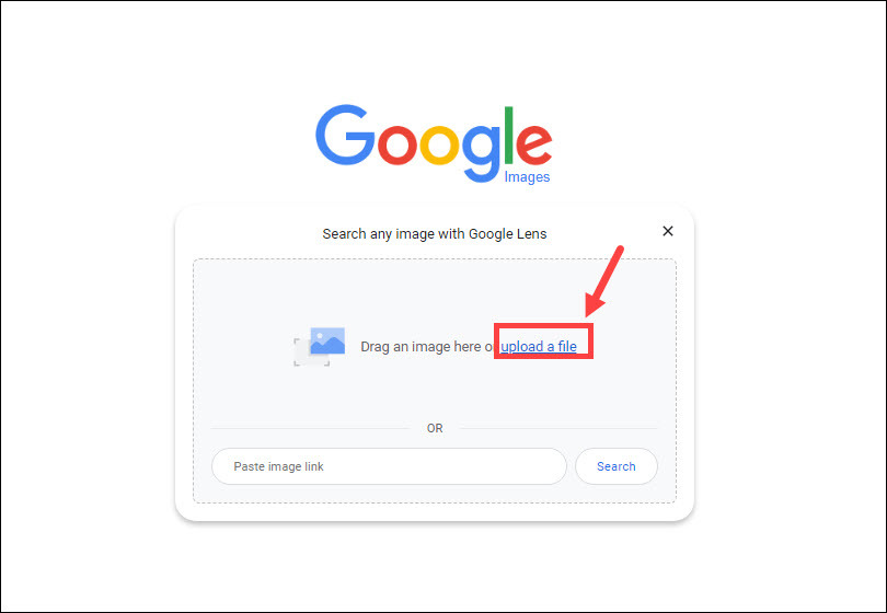 How to Find Someone with a Picture [2024] - Super Easy
