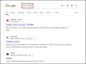 Social Media Search by Username: Find the Owner and Their Other ...