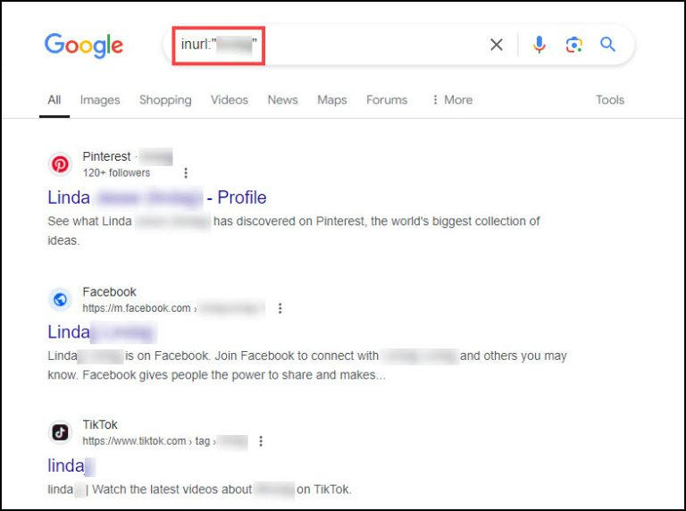 Social Media Search by Username: Find the Owner and Their Other ...