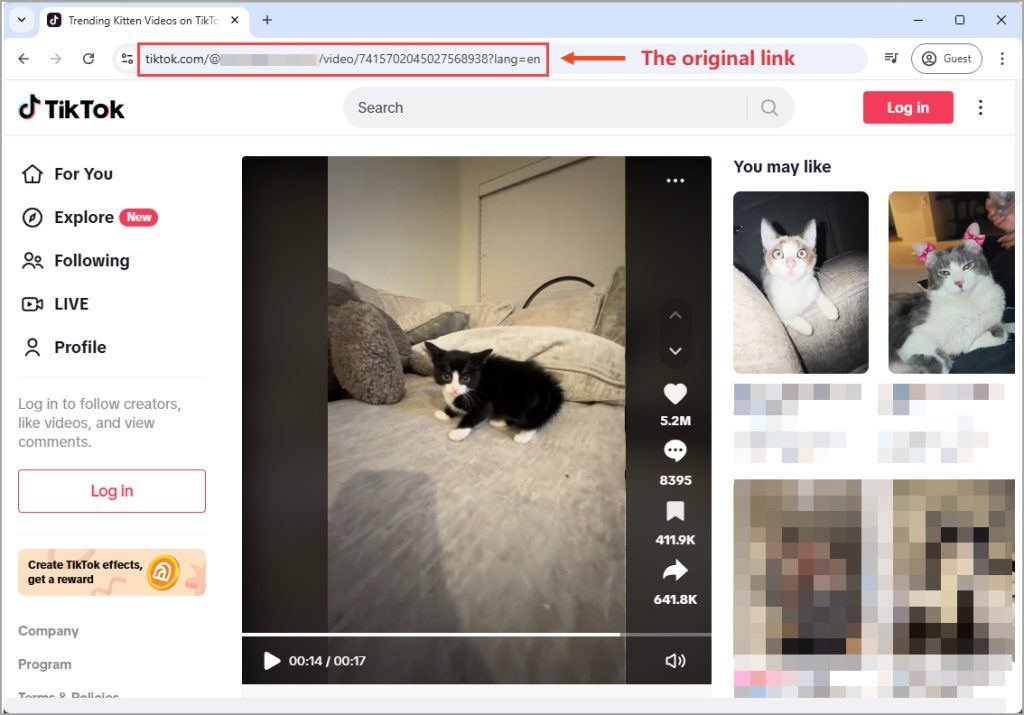 Catfish Finder | 8 Ways to Find out If Someone Is a Catfish - Super Easy